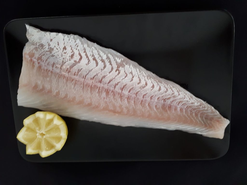 Poissons en filet - Viviers d'Audierne